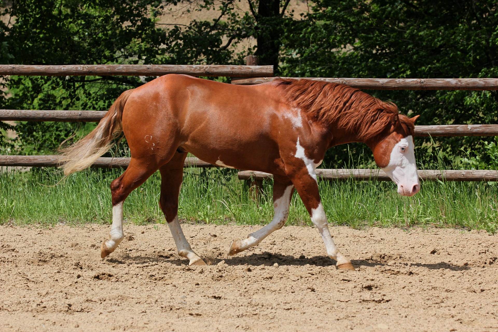 Documents :: Lil-smokin-gun